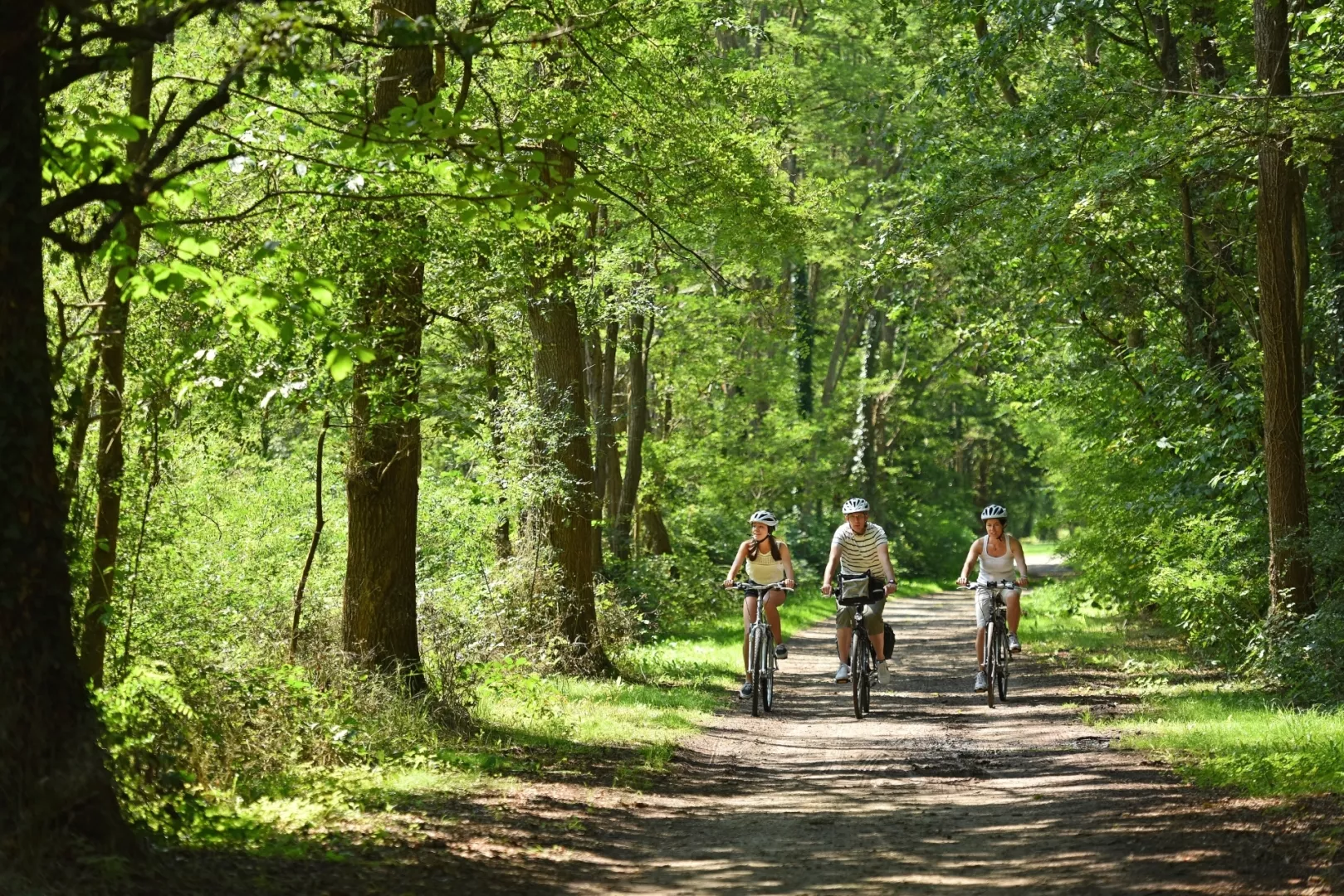 Les plus belles balades à vélo en Sologne : forêts, étangs et villages ...