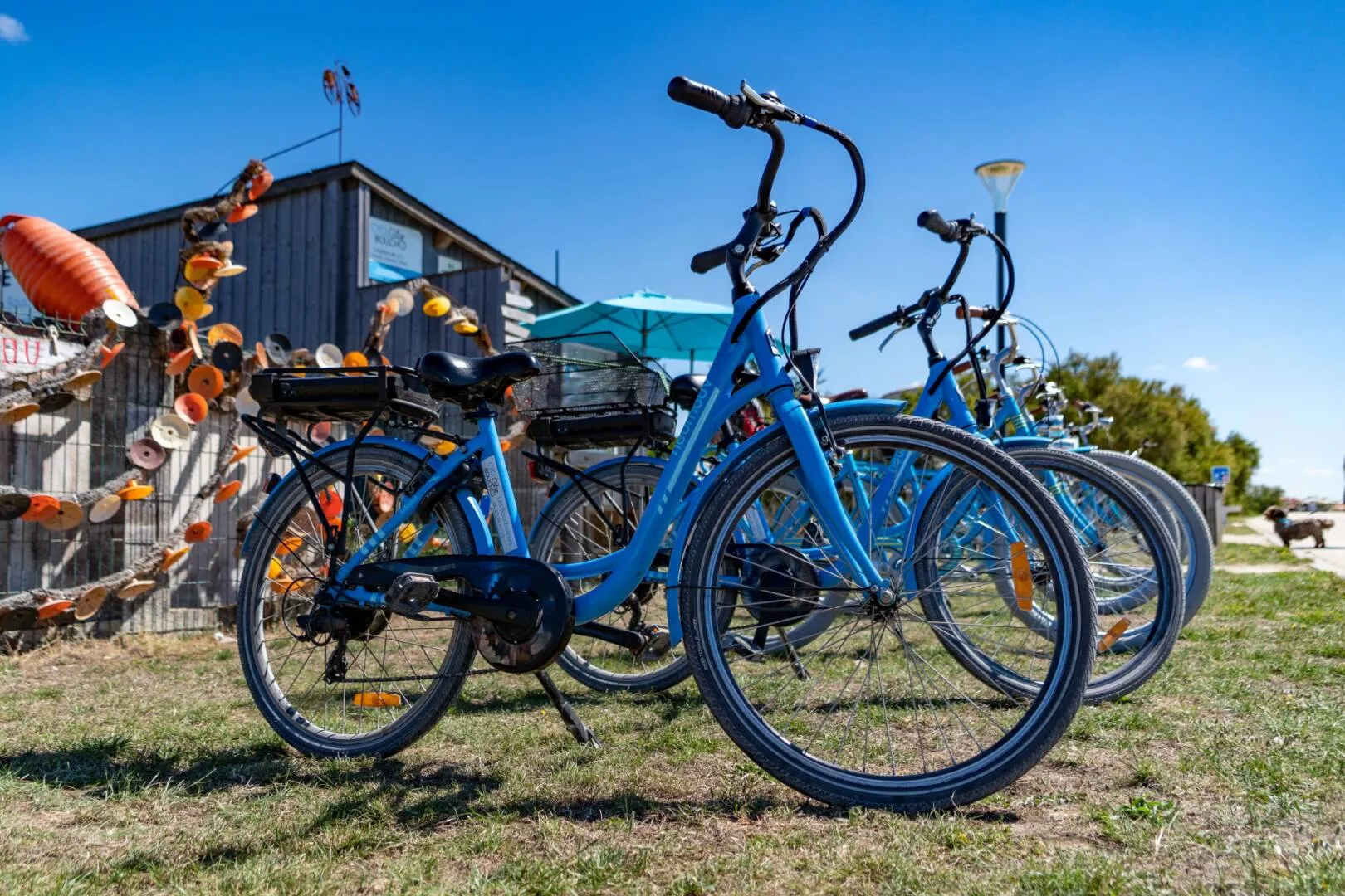 Cyclo boucho, Loueurs/réparateurs de vélo à Châtelaillon-Plage