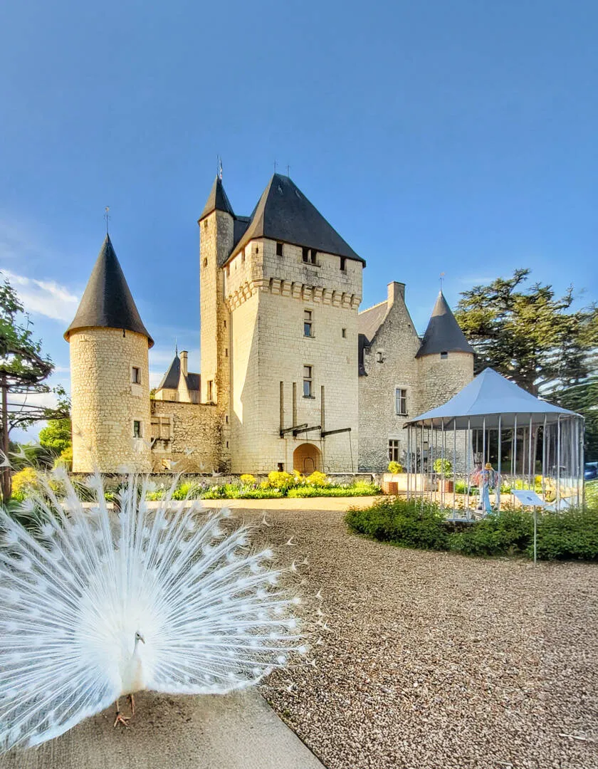 Château et Jardins du Rivau, Sites et monuments historiques à Lémeré