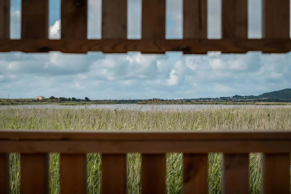 LA RÉSERVE NATURELLE DU BAGNAS, Patrimoine naturel à Marseillan